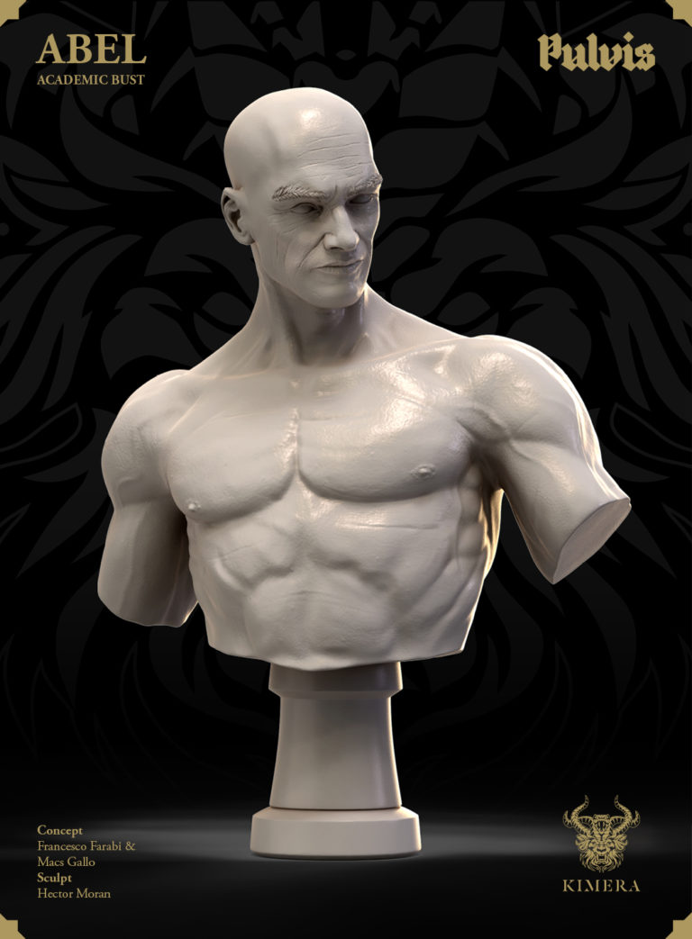 Abel Bust - Anatomic version - Pegaso World